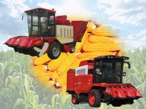 Corn processing machine - Taizy Corn Machine